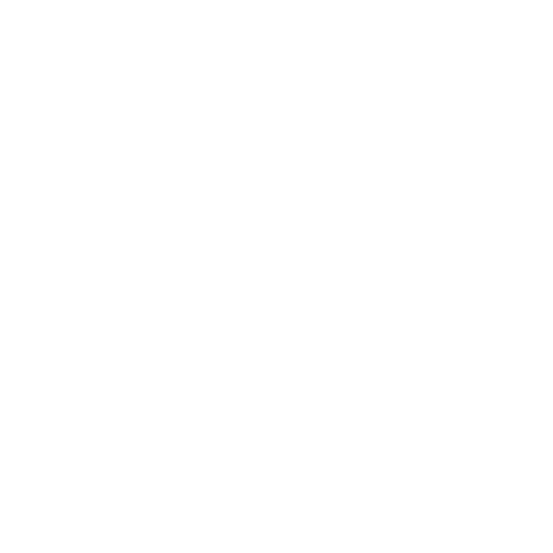 About – ICONIC MEDIA GROUP